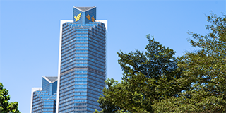 Locations│USA, Ireland & China | Zeus