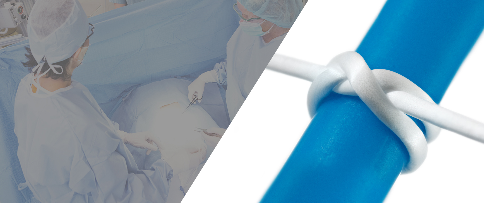 Polymer Extrusion & Tubing | Zeus